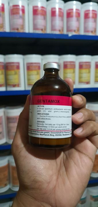 gentamox 100ml | Lazada PH