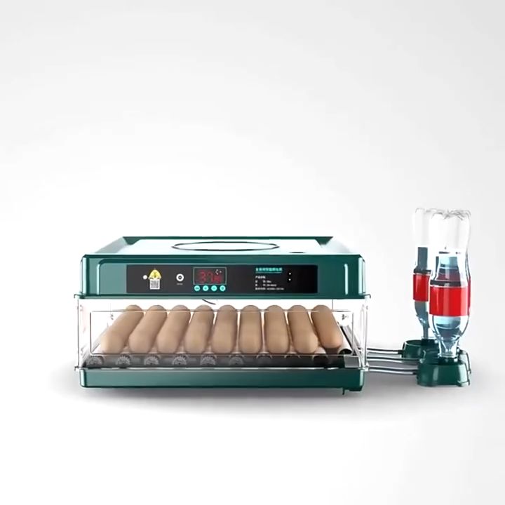 【COD】130 Eggs Fully Automatic Incubator 220V/12V Dual Power Supply Incubator Brooder Egg ...