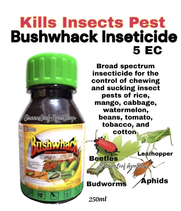 Bushwhack 5EC Liquid Insecticide/Spray 500ml | Lazada PH