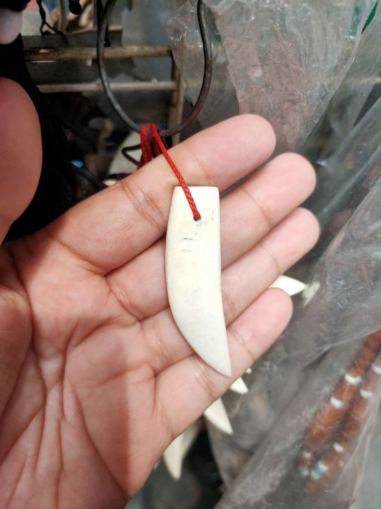 Ngipin Agimat for Protection w/ Free pouch | Lazada PH