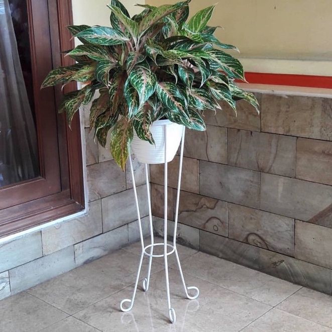 standing pot elegan / standing pot bunga besi | Lazada Indonesia