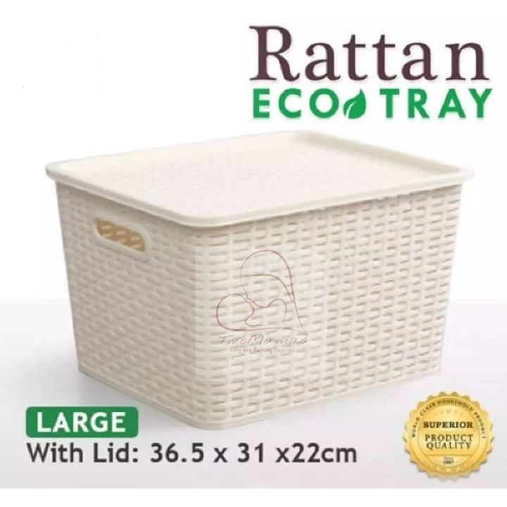 Zooey Rattan Eco Tray Large with Lid | Lazada PH