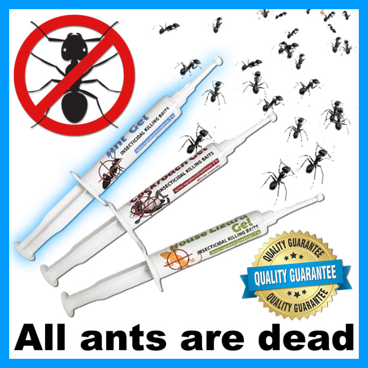 2025 New！Bray Ants killer bait Ant killer Ubat semut paling kuat Racun ...