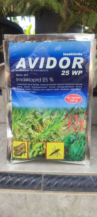 insektisida AVIDOR 25 WP 100 Gram | Lazada Indonesia