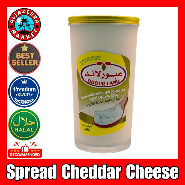 Spread Cheddar Cheese-(900 G)-جبن سائل بطعم الشيدر-(EXP: 13/12/2024 ...