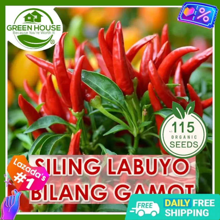 Green House® - Siling Labuyo Seeds for Planting Vegetable Plants (115 ...