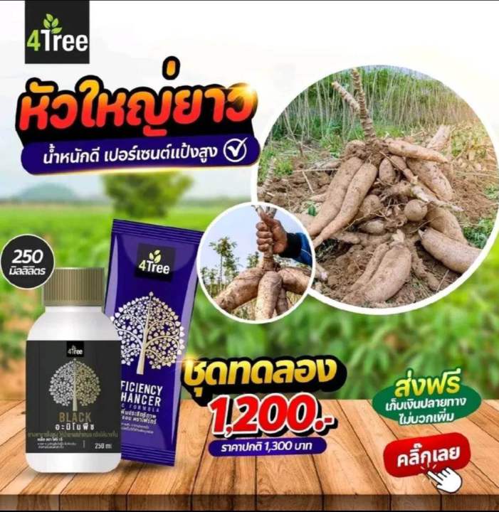 🔥ชุดระเบิดหัวมัน🔥 1 ซอง 4TREE + 1 ขวด อะมิโนแบลค ขนาด 250 มล. ของแท้ 100% | Lazada.co.th