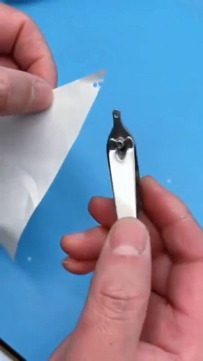 2mm Stainless Steel Chicks Toe Puncher Gamefowl Rooster Puncher Pliers ...