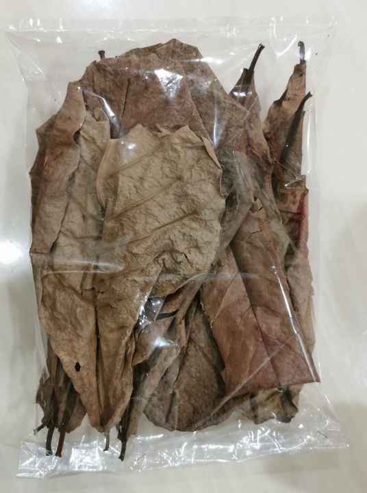 Betta Capatta Leaf (50g) | Lazada