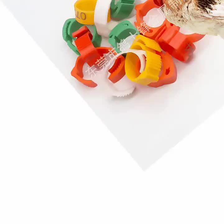 2025 Adjustable Chicken Ring Snap-On Open Chicken Foot Ring ...