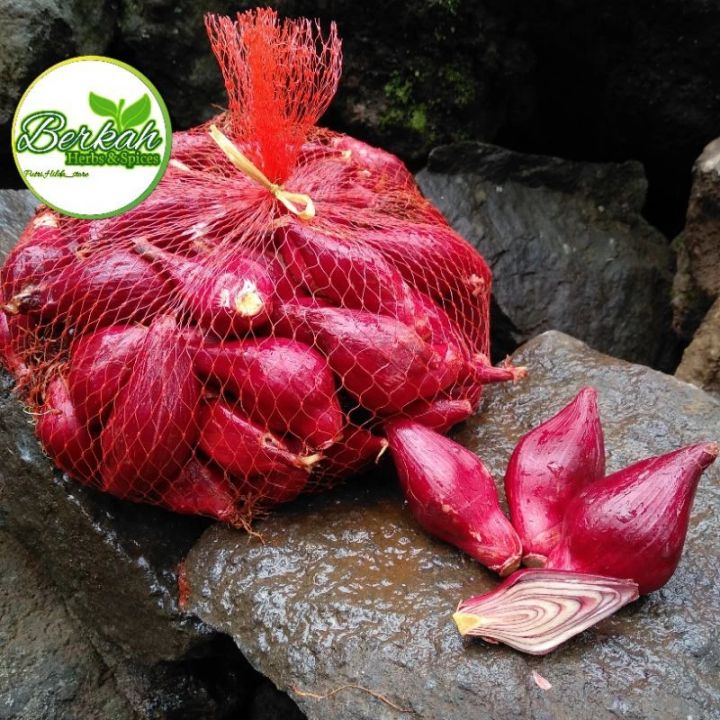 Bawang dayak segar 1 kg kualitas grande A bawang segar | Lazada Indonesia