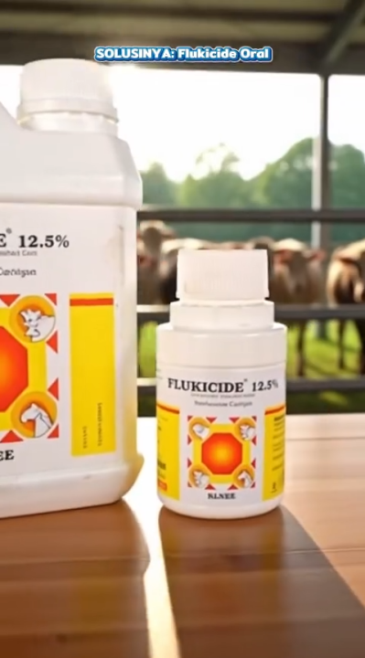 FLUKICIDE ORAL 100 ml SANBE - Flukicid Obat Cacing Minum Hewan Ternak ...