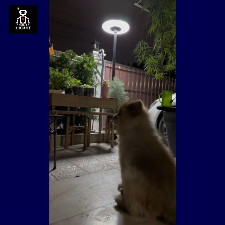 Smail ประกัน 10 ปี ไฟโซล่าเซลล์ คริสตัล 800000W โคม+เสา+ฐาน เคลื่อนย้าย ...