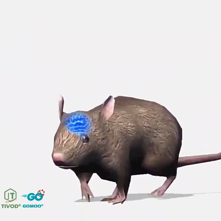 【No rats in 1000㎡】Ultrasonic rat repellent Electronic Anti pest ...