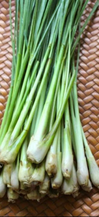 Lemon Grass/ Tanglad Per stalks | Lazada PH
