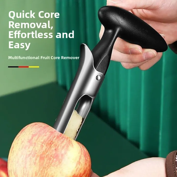 Food Grade Stainless Steel Fruit Kernel Remover Pear Cutter Home Use ...