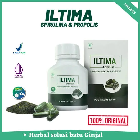 ILTIMA - Kapsul Herbal Bantu Atasi Masalah Ginjal Ekstrak Spirulina dan ...