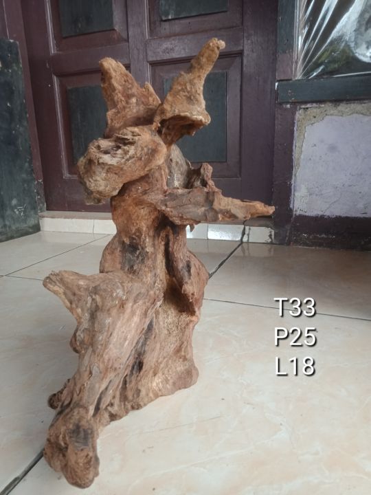 kayu rentek aquascape | Lazada Indonesia