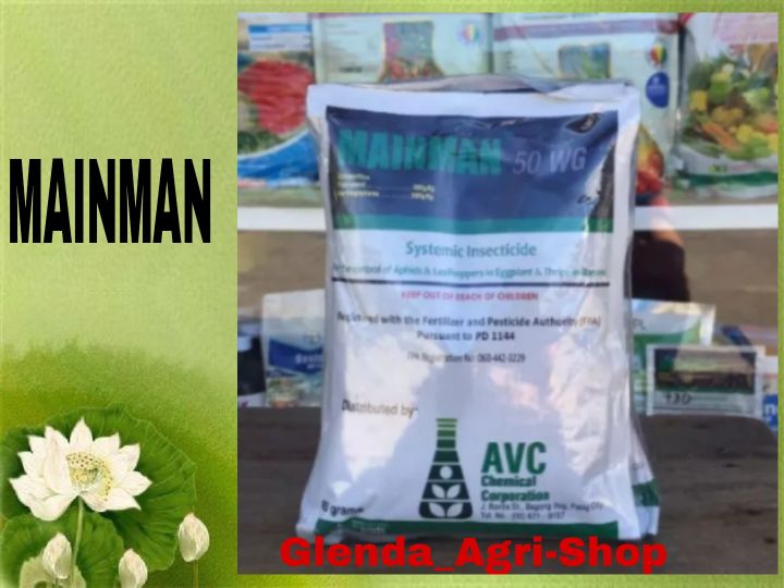 Mainman 50 WG Systemic Insecticide ( 80 grams ) | Lazada PH