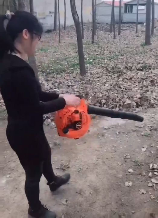 EB260 25.4cc Gasoline Blower Air Blower Vacuum Cleaner Snow Greenworks ...