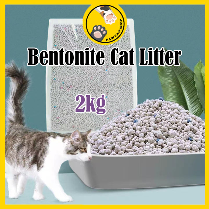 Paw 2kg Natural Bentonite Cat Litter Sand Biodegradable Fast Clumping ...