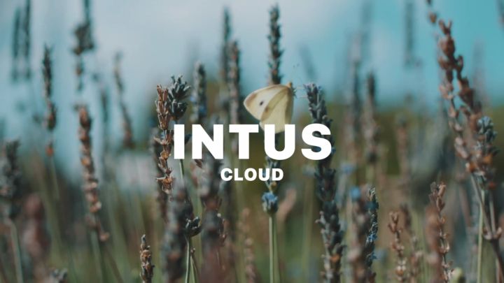INTUS Lux Fragrance Perfume & Whitening Body Lotion Gifts Niacinamide ...