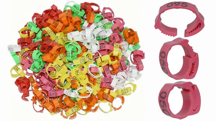 100Pcs Chicken Leg Rings Numbered Tag Markers Adjustable Leg Band for ...