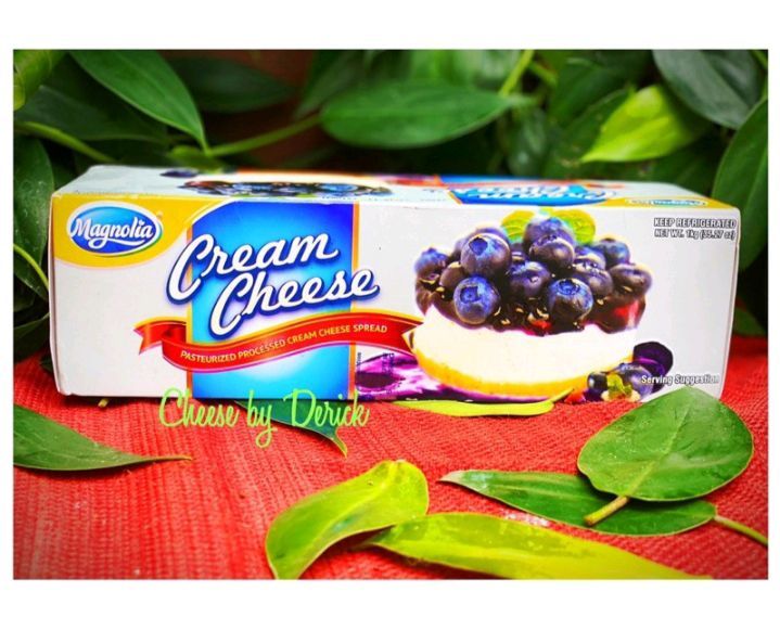 MAGNOLIA CREAM CHEESE 1KG | Lazada PH