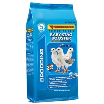 THUNDERBIRD BABY STAG BOOSTER 1KG PACK BROODING | Lazada PH