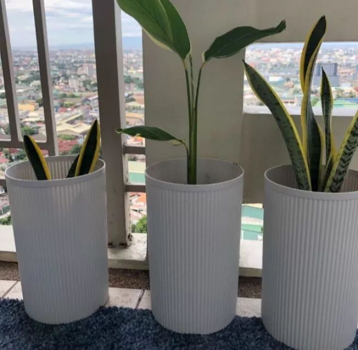 Tall Ludo pots ( 7.5 x 12 inches ) with free 50 grams fertilizer for ...