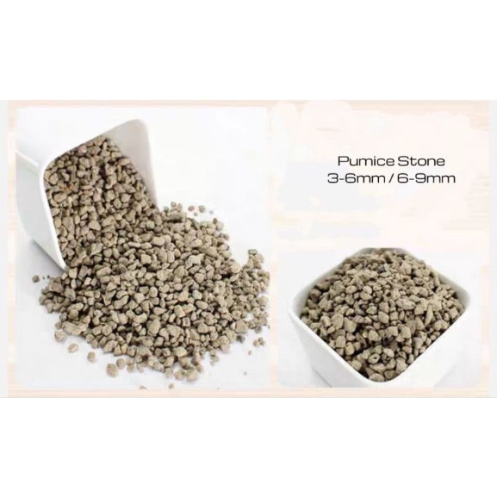 [SG SELLER] 1kg l Pumice Stone Rock Pumice Lava Rock Stones Landscape ...