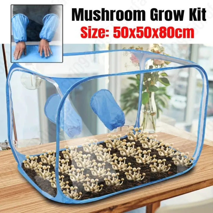 Mushroom Growing Tent Kit Mycology Still Air Box Mycology Fume Hood ...