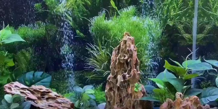 Dragon stone/Aquascaping rocks for aquarium fish tank decoration | Lazada PH