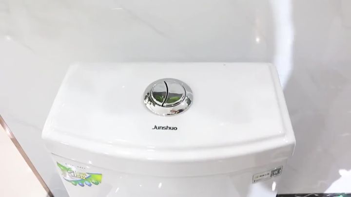 Toilet Flush Set Fittings ECQ CISTERN FITTINGS Dual Button Flush Valve ...