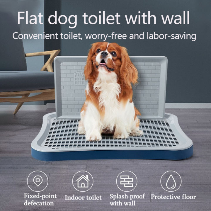 Toilet For Dog Poop at Reynaldo Leahy blog