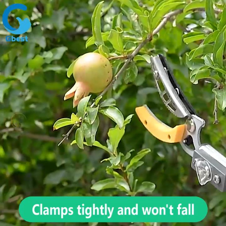 Gbest Fruit Picker With Pole Tree Branch Cutter Telescopic Pruning Saw ...