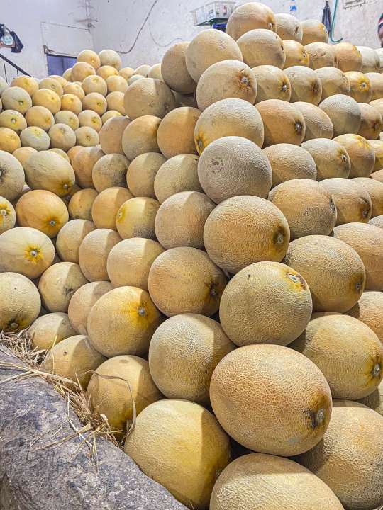 MELON MADU PREMIUM | Lazada Indonesia