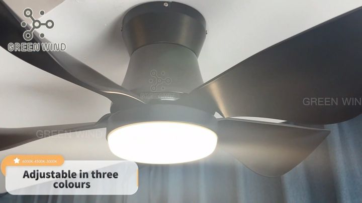 GREEN WIND Ceiling Fan With Lights and Remote Modern 26 Inches Ceiling ...