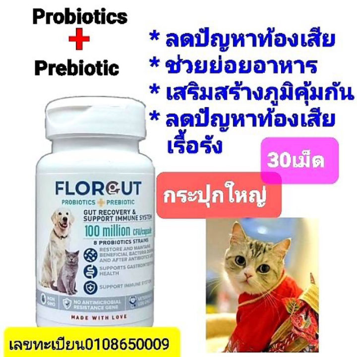 florgutปรับสมดุลลําไส้ช่วยเรื่องท้องเเสียเรื้อรังprebiotc+probiotic ...