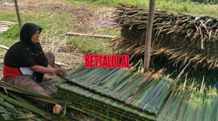 Daun rumbia/atap daun rumbia/daun dahon ukuran 120x50 , untuk ukuran ...