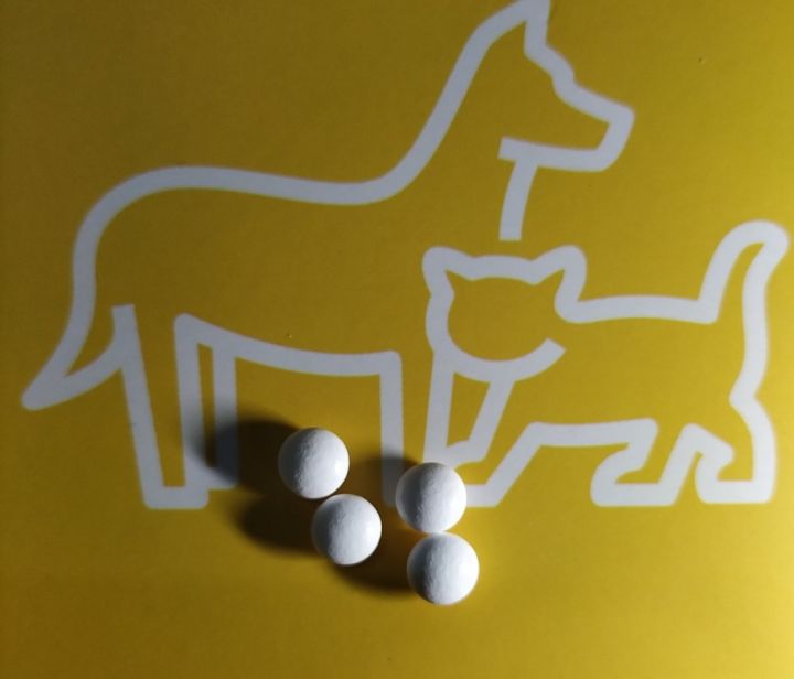 ada stock # Pil perancang kucing (10biji) Pil Kucing Tablet Pill kucing ...