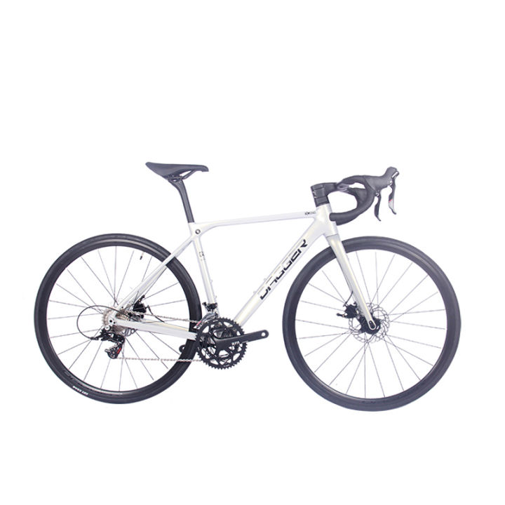 Full Internal Cabling 22-Speed Carbon Fiber Handlebar Disc Brake Road ...