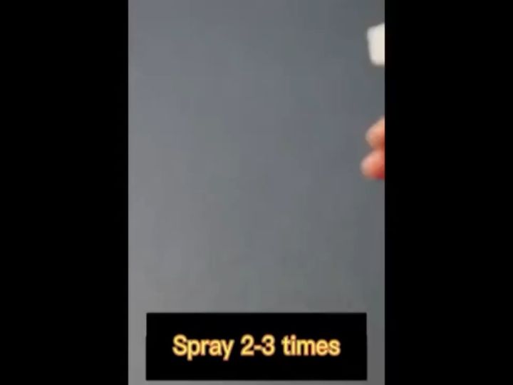 Bed Bug Killer Spray 500ML Harmless To Human Body Bedbug Surot Killer ...