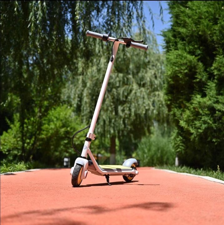Segway-Ninebot ZING C10 Kids KickScooter | Lazada PH