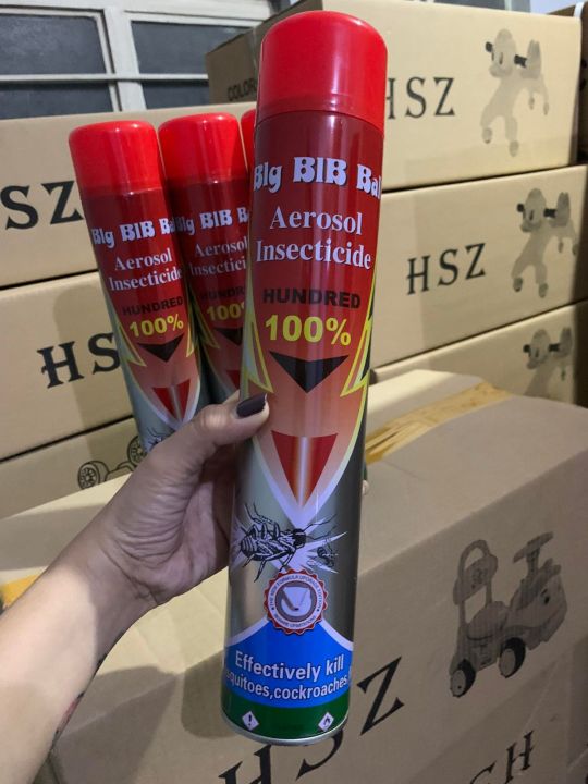BIG BIB BAI AEROSOL INSECTICIDE | Lazada PH