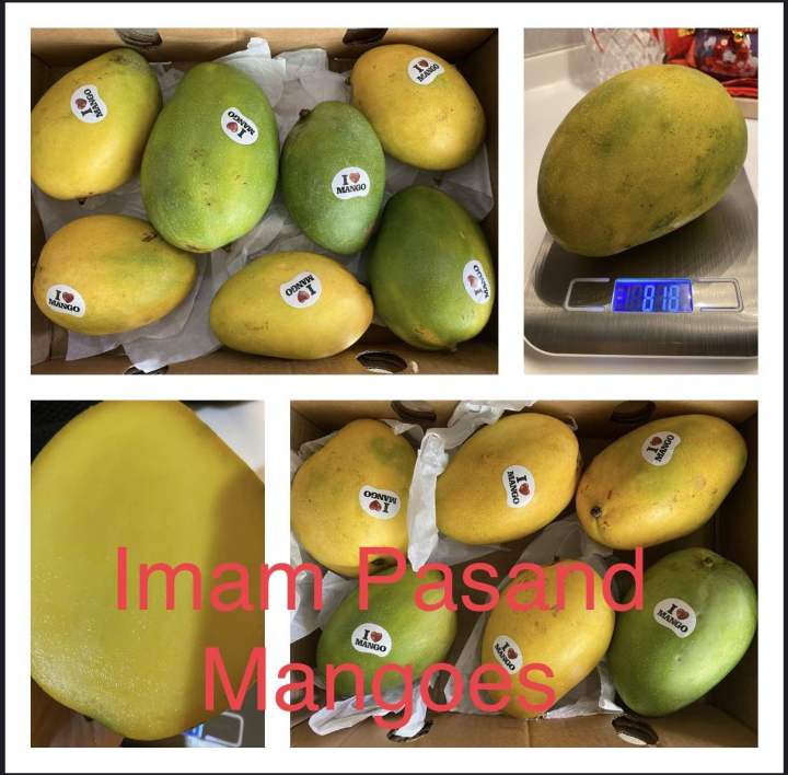 Fresh mango Imam Pasand | Lazada
