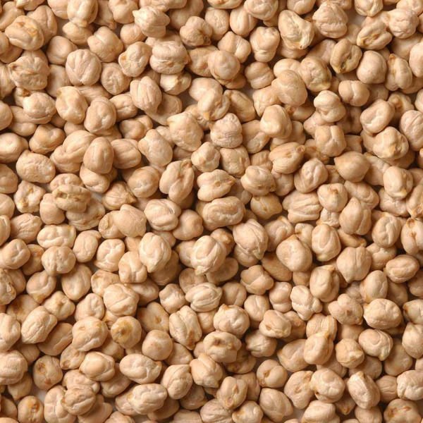 Chickpeas,White Chana,Kabuli Chana (ถั่วลูกไก่ขาว) 500g/1kg | Lazada.co.th