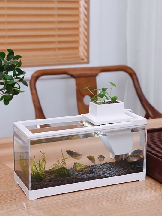 Fish Tank Desktop, 1.55 Gallon Acrylic Aquarium with Air Pump LED Light ...