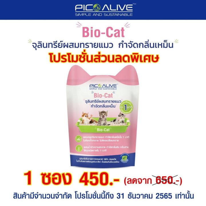 Bio Cat | Lazada.co.th: ซื้อขาย ทรายแมว ออนไลน์ในราคาที่ถูกกว่า ...