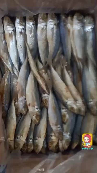 COD ikan asin layang asin super 1kg | Lazada Indonesia